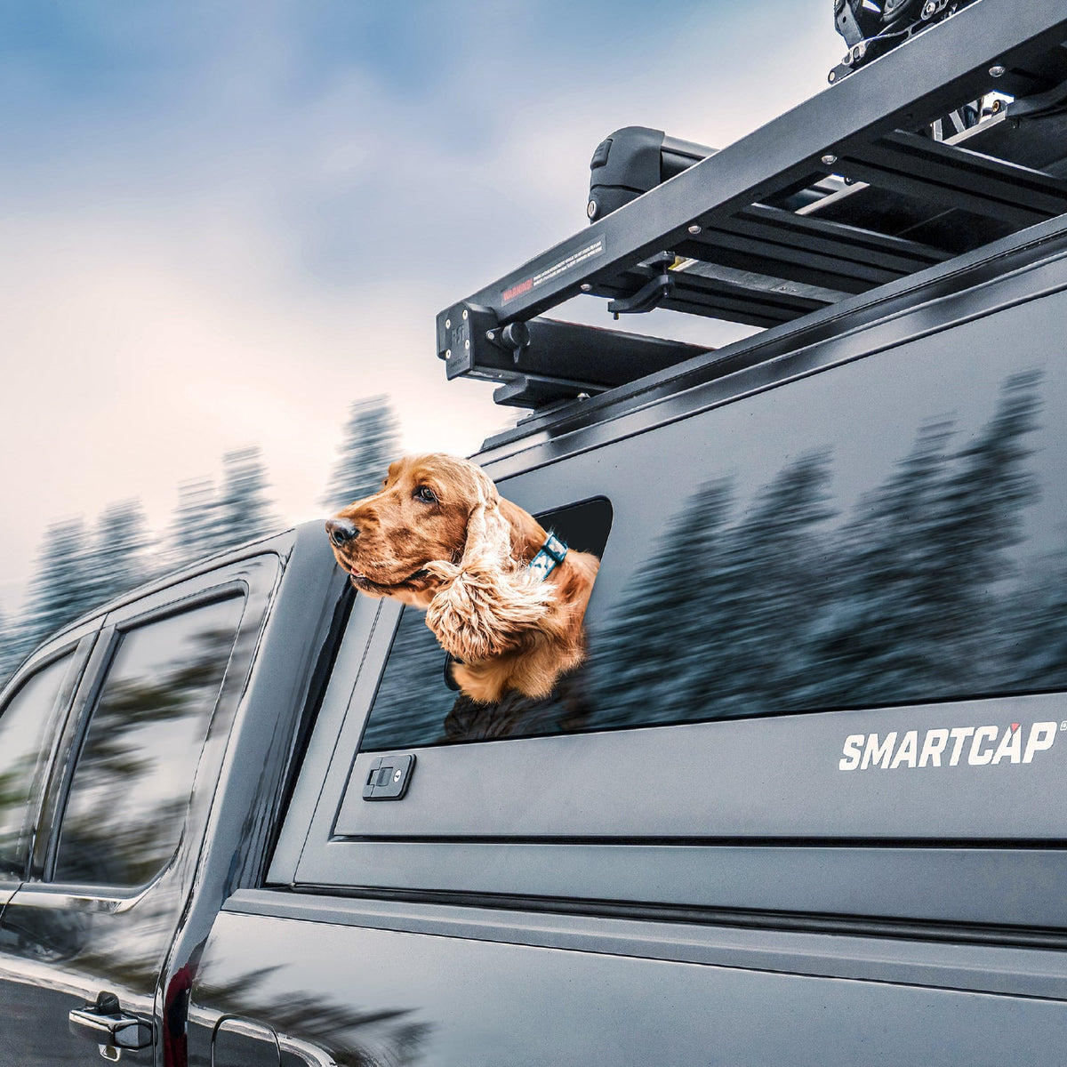Pickup Truck Canopies UK | RSI SMARTCAP Stainless-Steel | TUFF-TREK ...